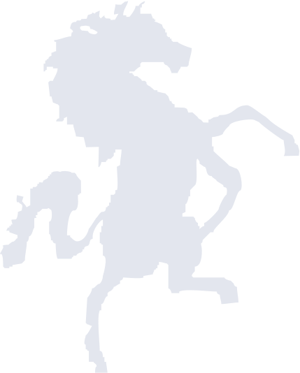 Our Story - Invicta Group